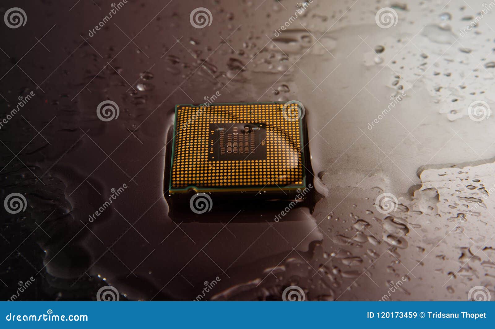 Wet cpu stock image. Image of danger, circuit, board - 120173459