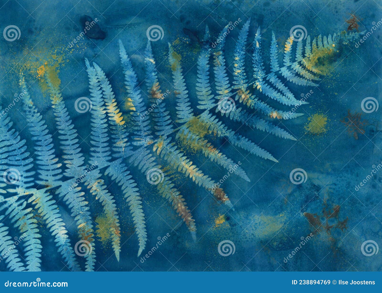 Wet Cyanotype of a Fern Leaf Stock Image - Image of leaf, powder: 238894769
