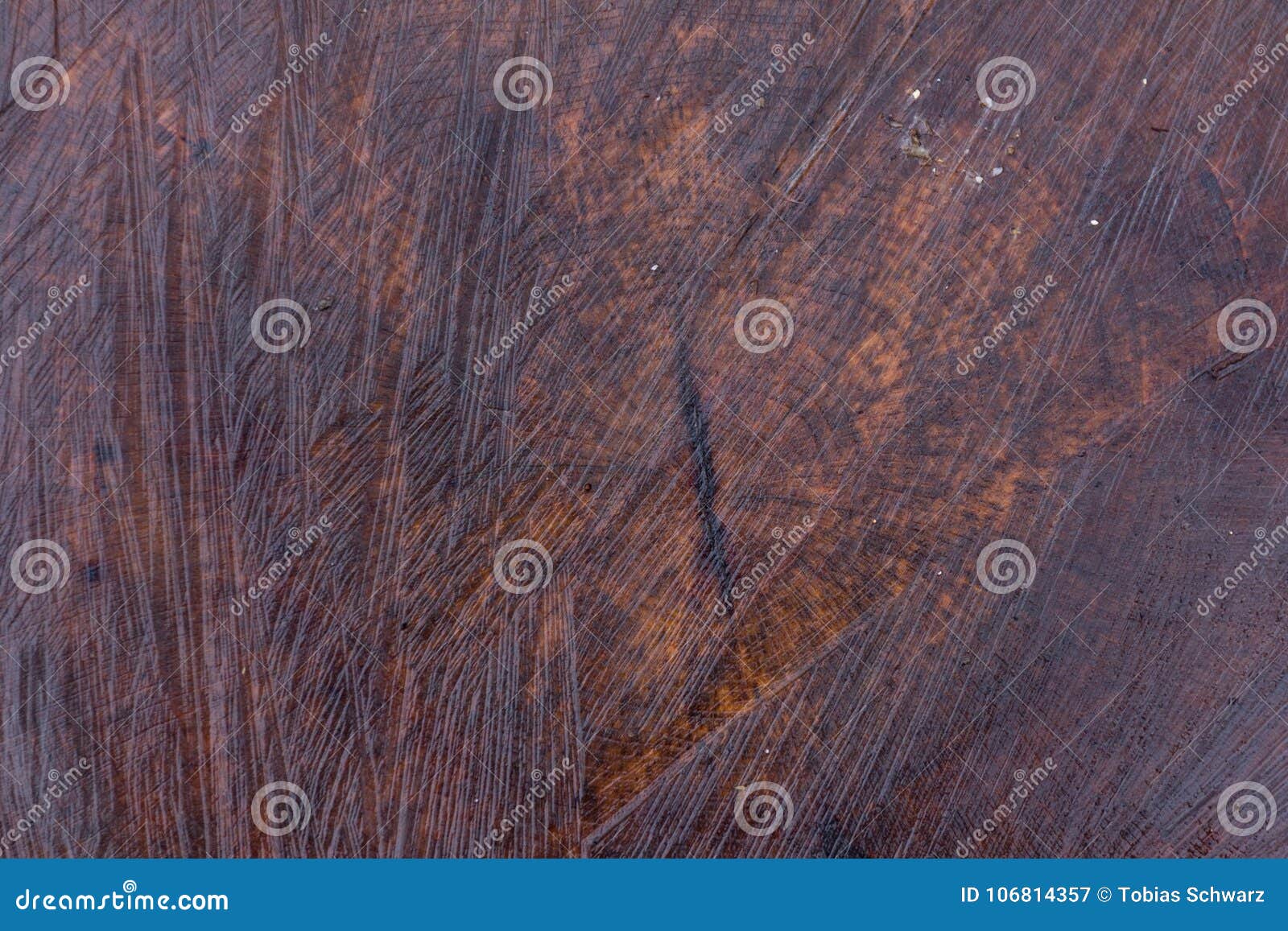 Wet Dark Brown Tree Trunk Texture or Background Stock Image - Image of ...