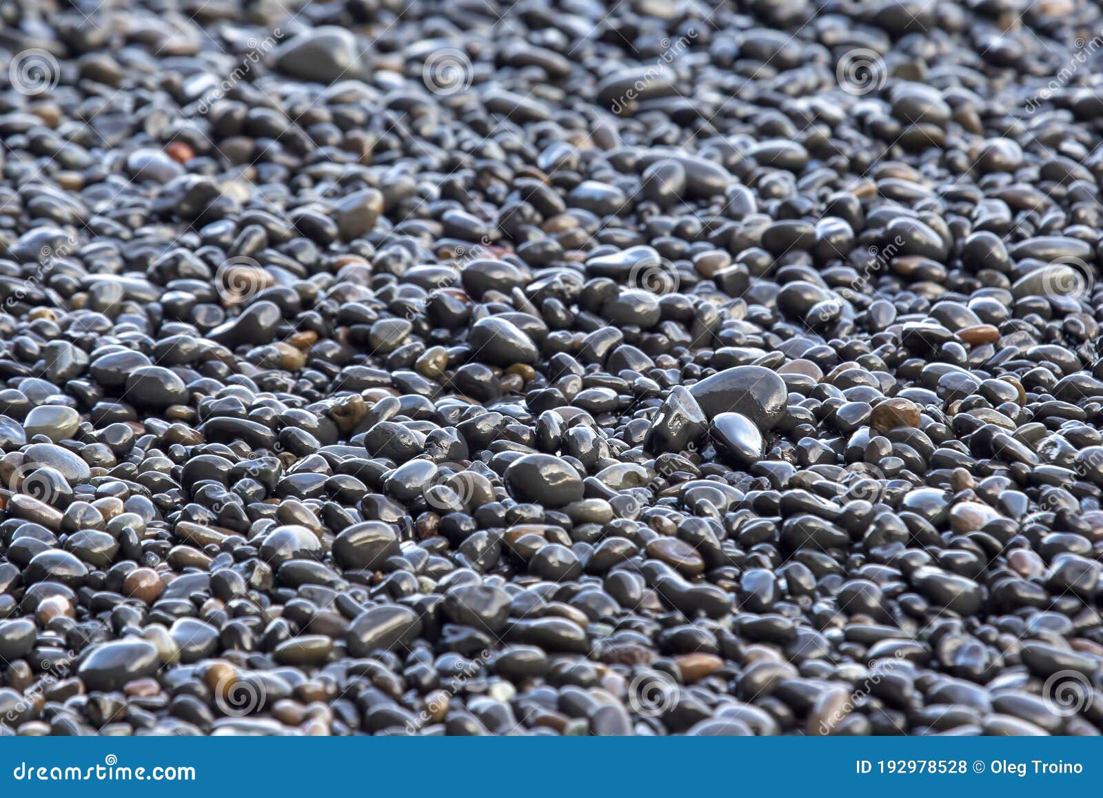 Wet Dark Pebbles and Rocks on the Ocean Coast Stock Photo - Image of ...