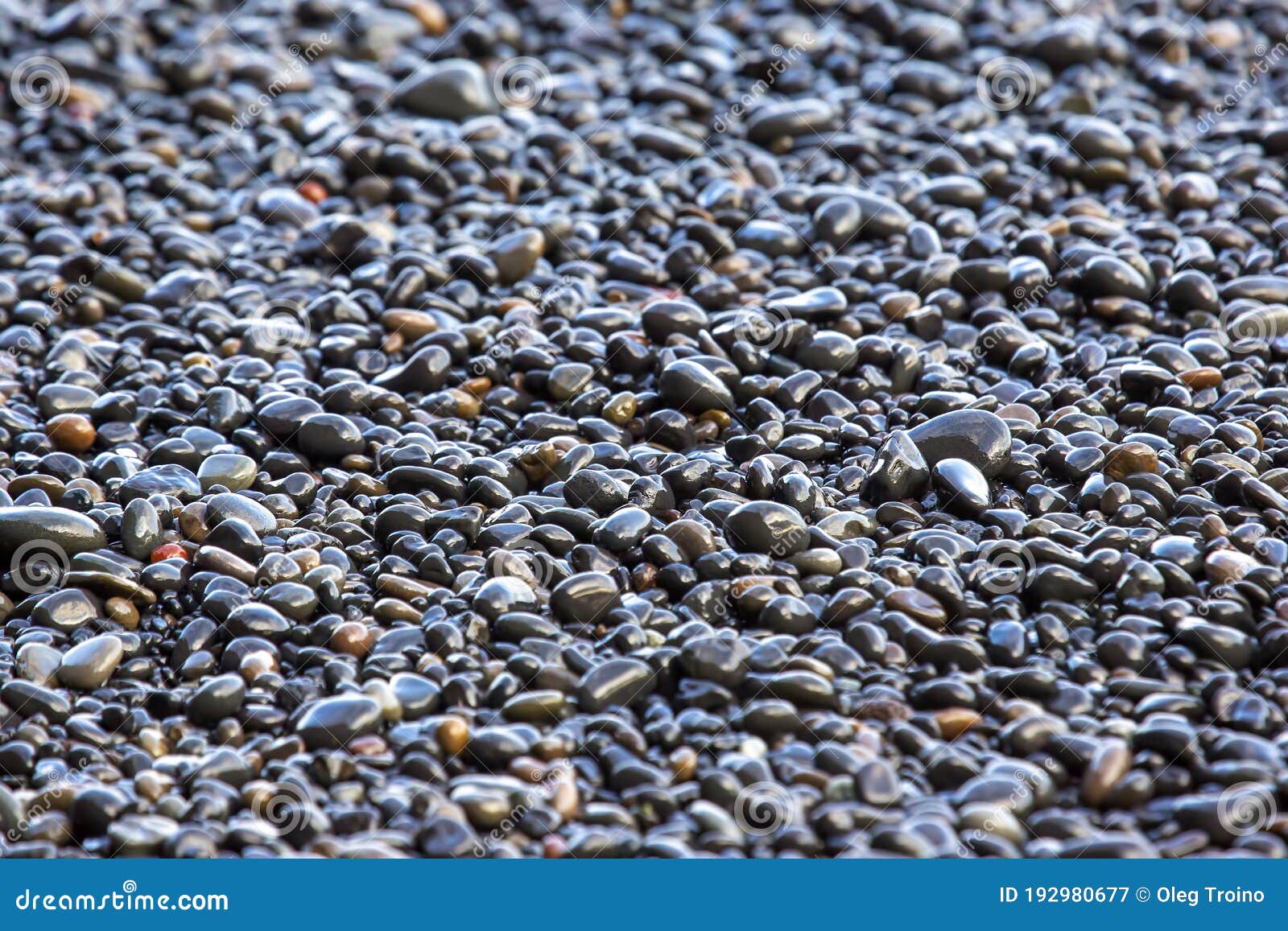 Wet Dark Pebbles and Rocks on the Ocean Coast Stock Image - Image of ...
