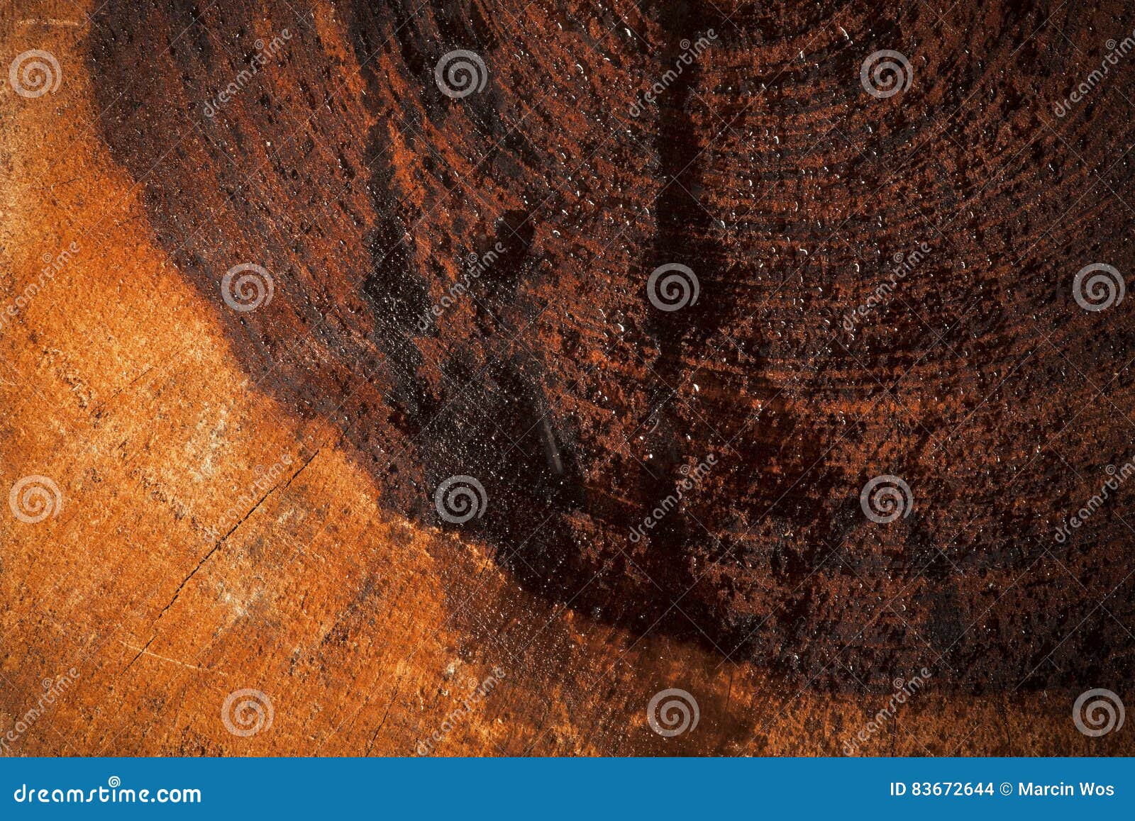 Redwood Texture Background Royalty-Free Stock Photography ...