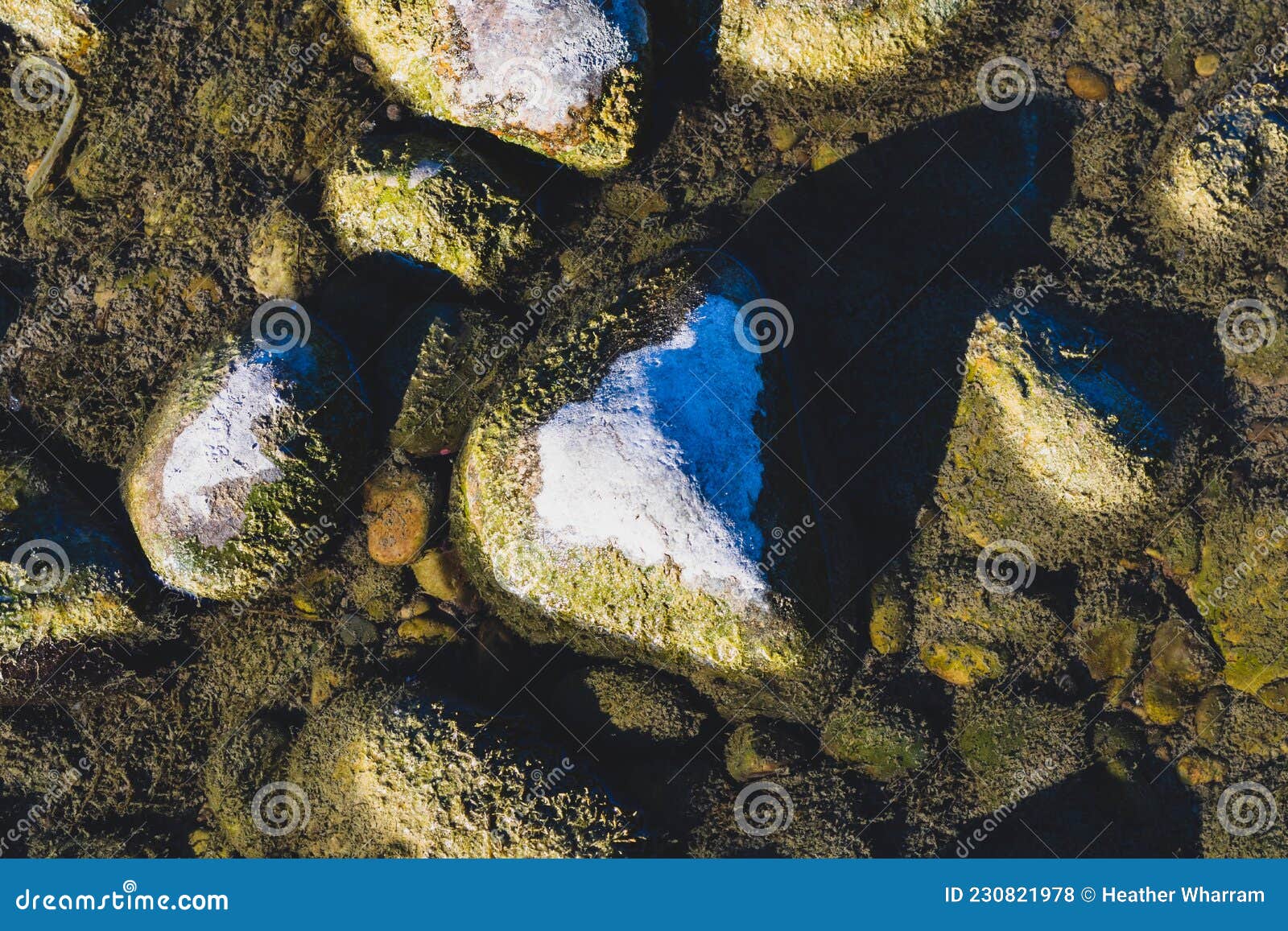 Wet and Dry Rocks at the Bottom of a Muddy Riverbed Stock Photo - Image ...