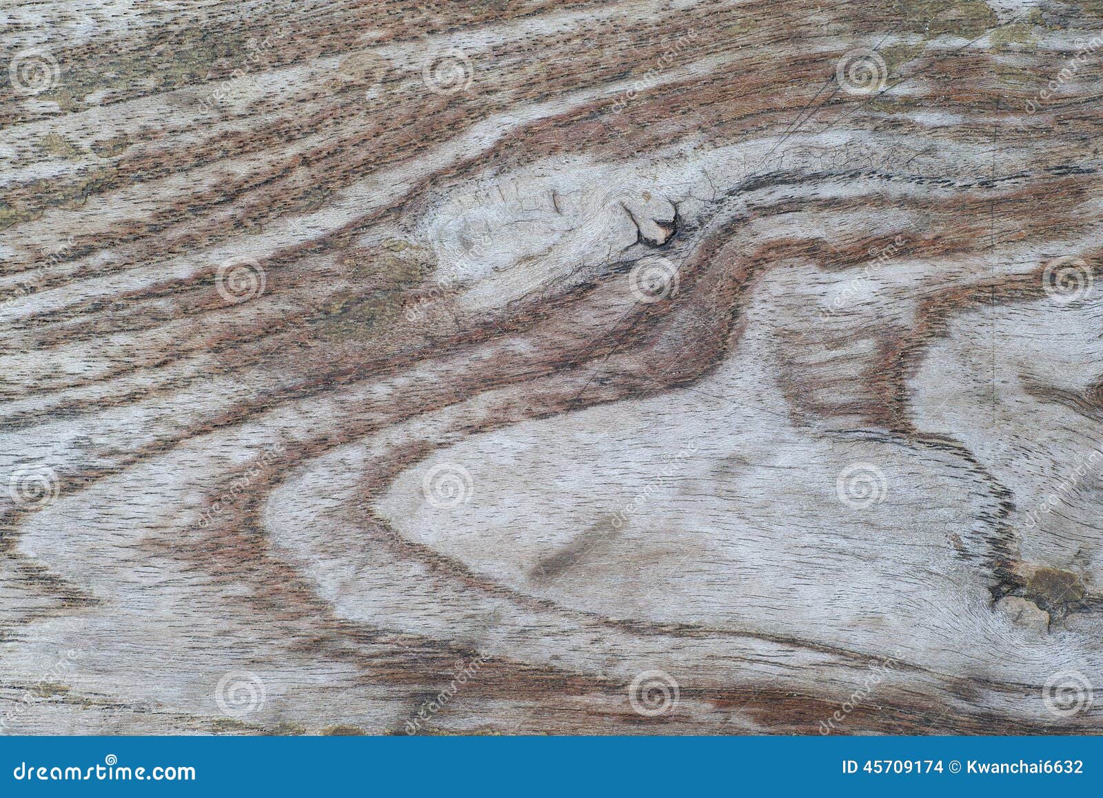 Wet and Dry Wood Texture stock photo. Image of architecture - 45709174