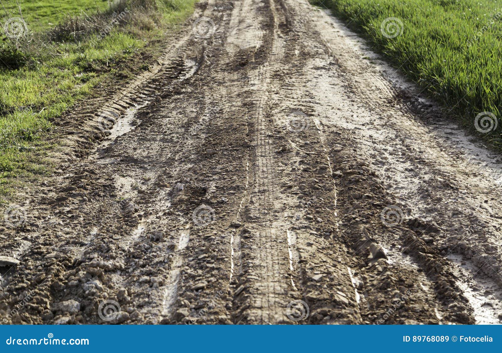 Wet earth with mud stock image. Image of gardening, humus - 89768089