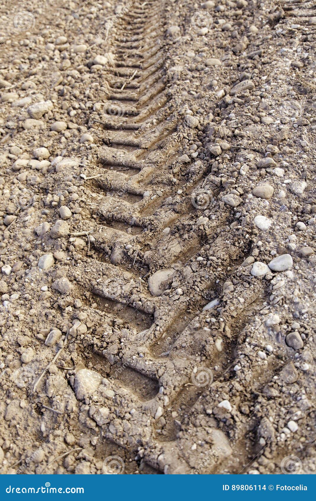 Wet earth with mud stock photo. Image of earth, environment - 89806114