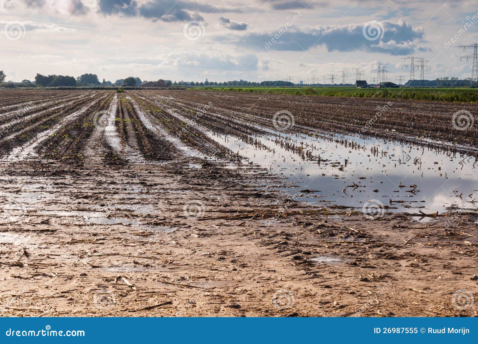 Wet Farmland in the Netherlands Stock Image - Image of land, energy ...