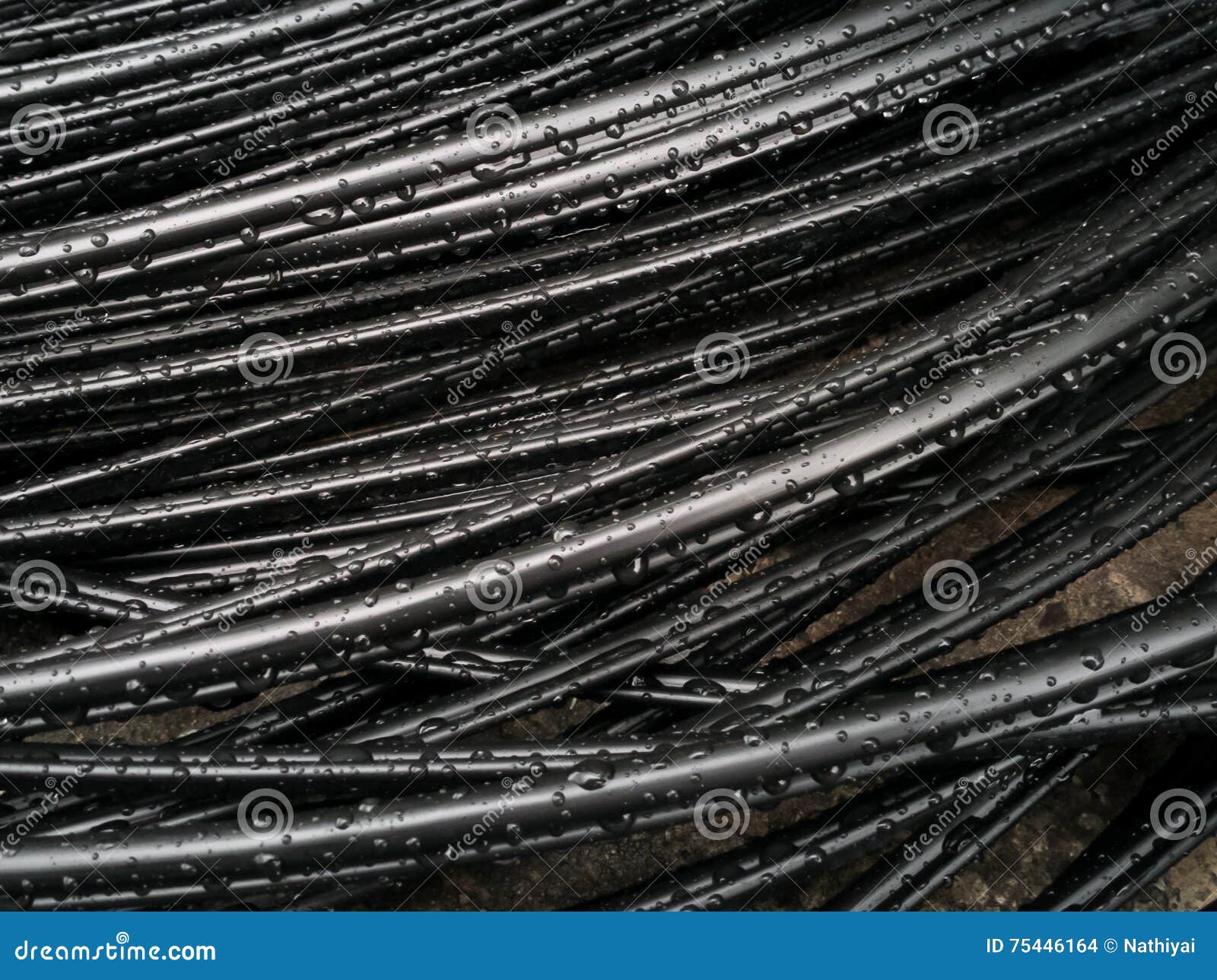 Wet fiber wire stock photo. Image of line, pattern, cable - 75446164