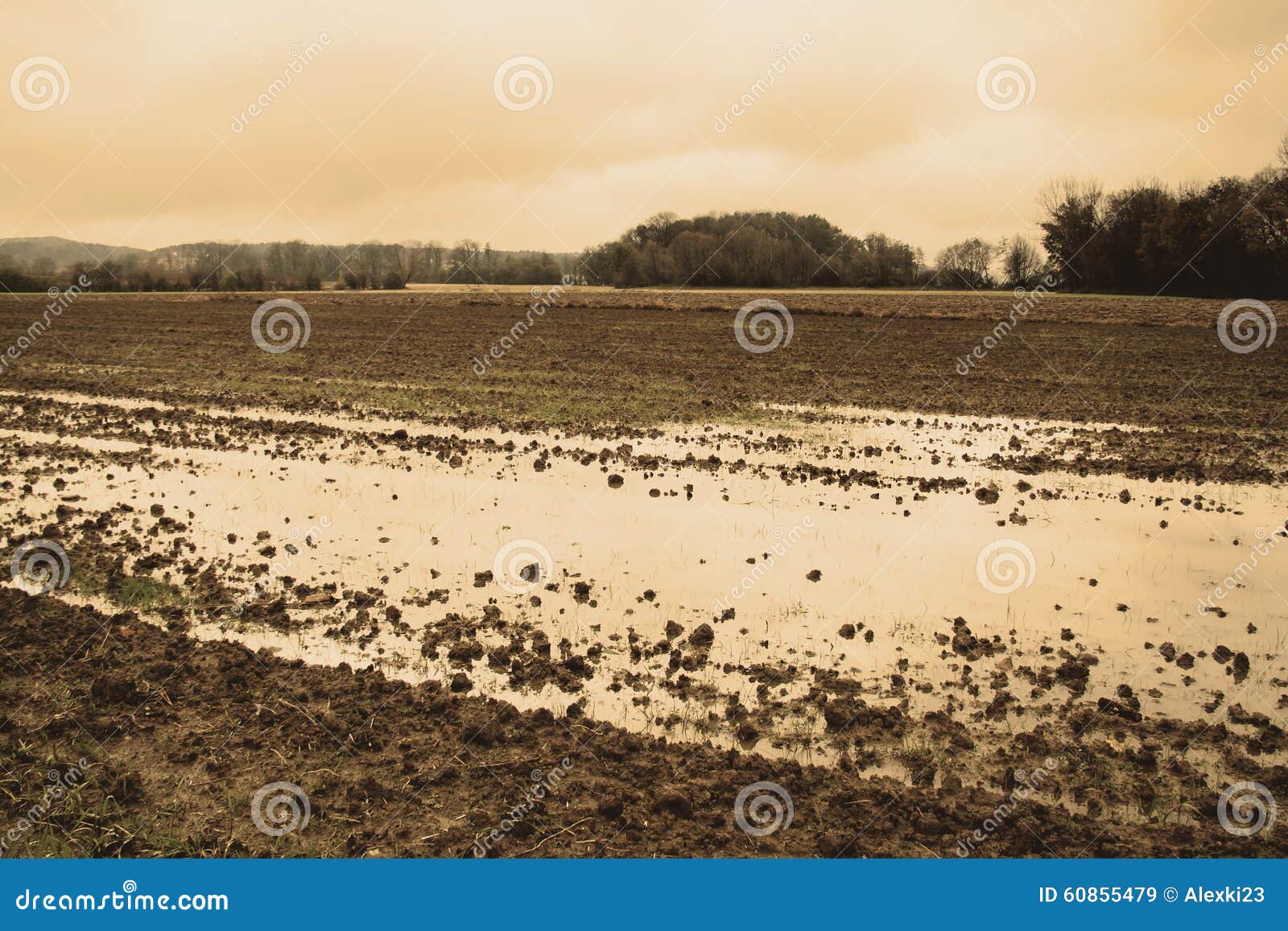 Wet field stock image. Image of harvested, autumn, fallow - 60855479