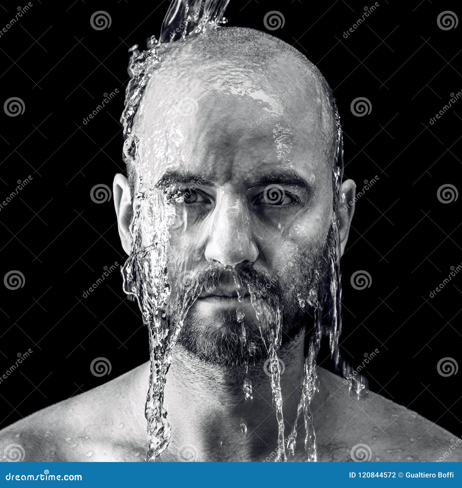Wet fine portrait stock photo. Image of face, drops - 120844572