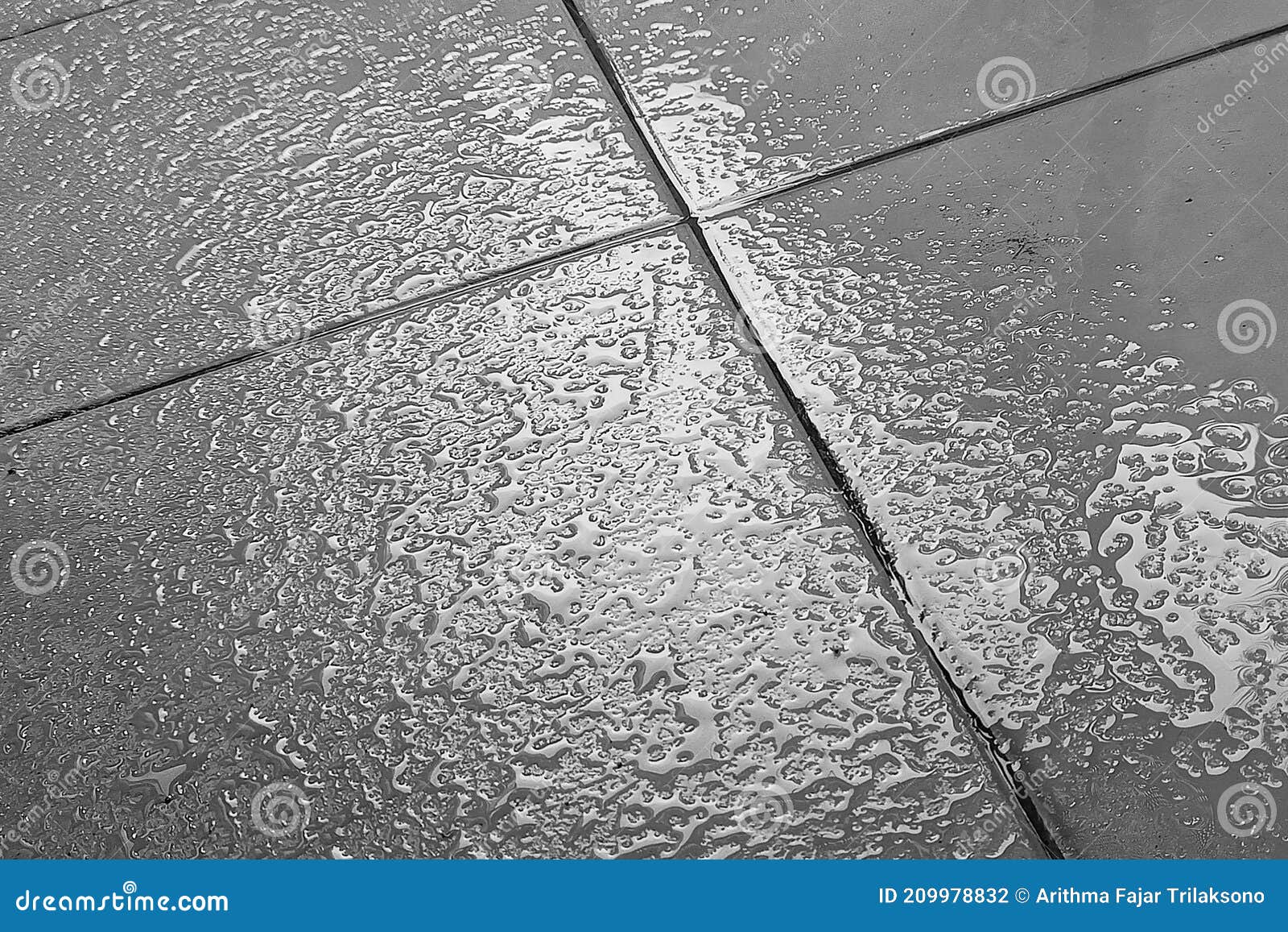 Wet Floor Tile after the Rain Stock Photo - Image of line, tile: 209978832