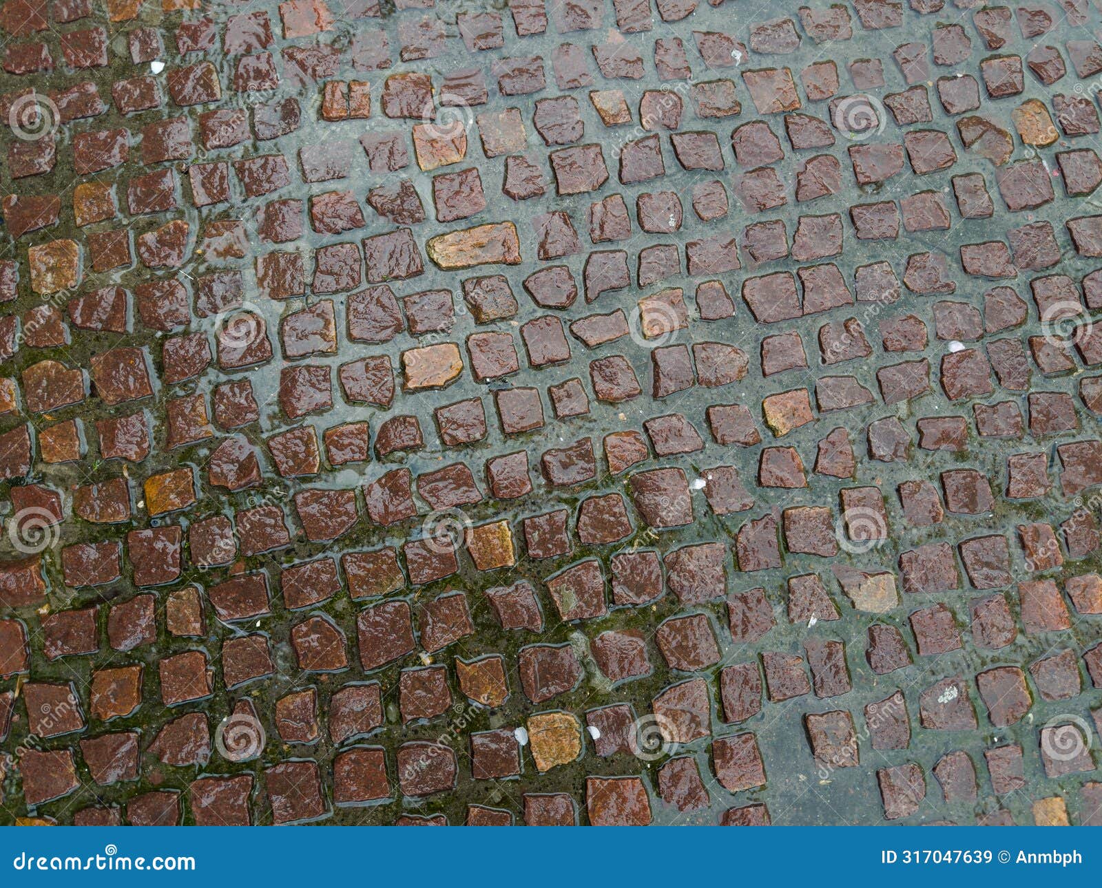 Wet Footpath Paved with Stone Paving Tiles, Fragment Top View Stock ...