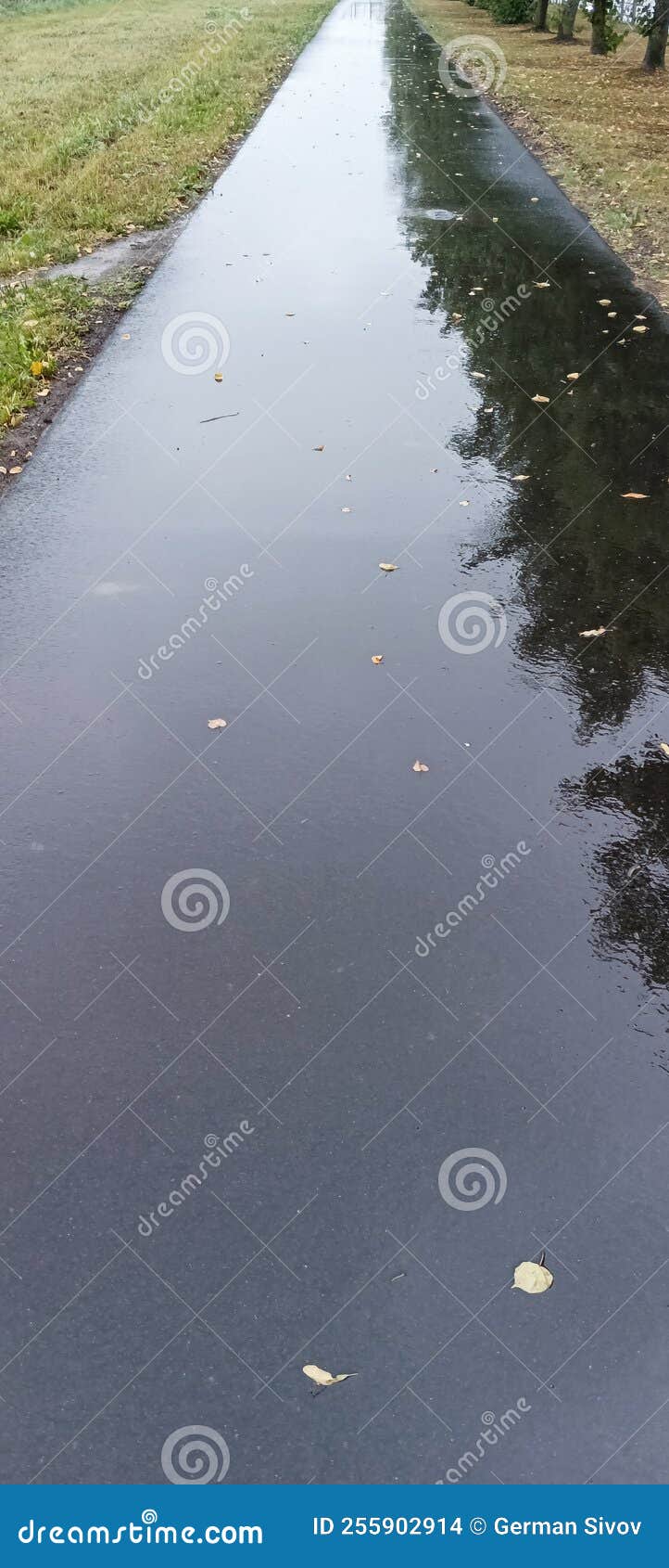 Wet footpath after rain stock photo. Image of road, path - 255902914