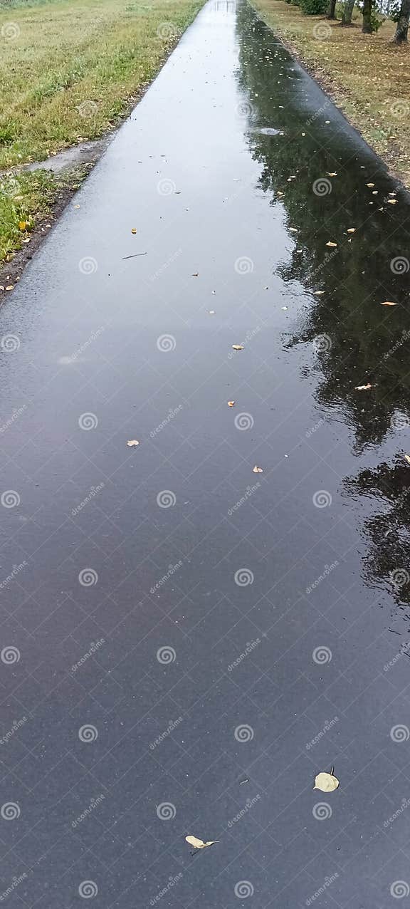 Wet footpath after rain stock photo. Image of road, path - 255902914