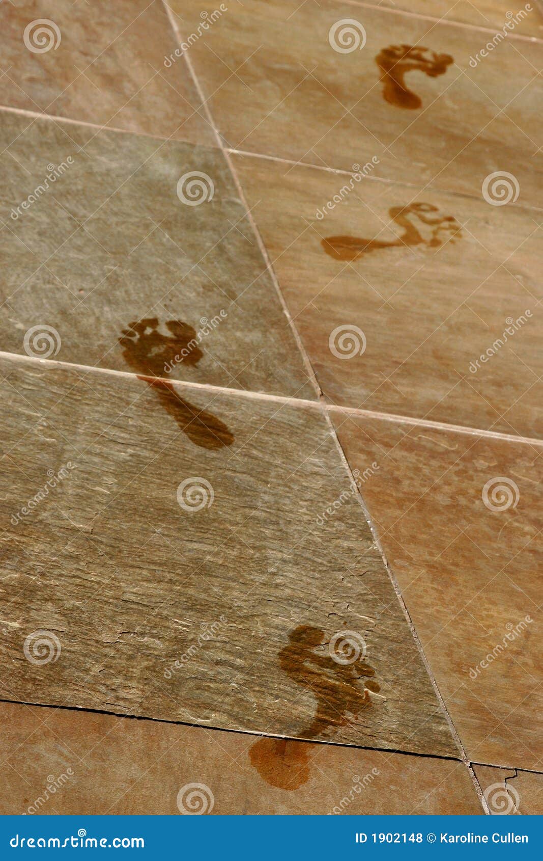 117 Tiles Footprints Stock Photos - Free & Royalty-Free Stock Photos ...