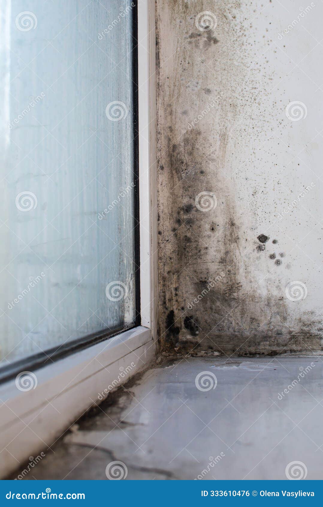 Wet Glass and Mold on the Window. Stock Photo - Image of house, room ...