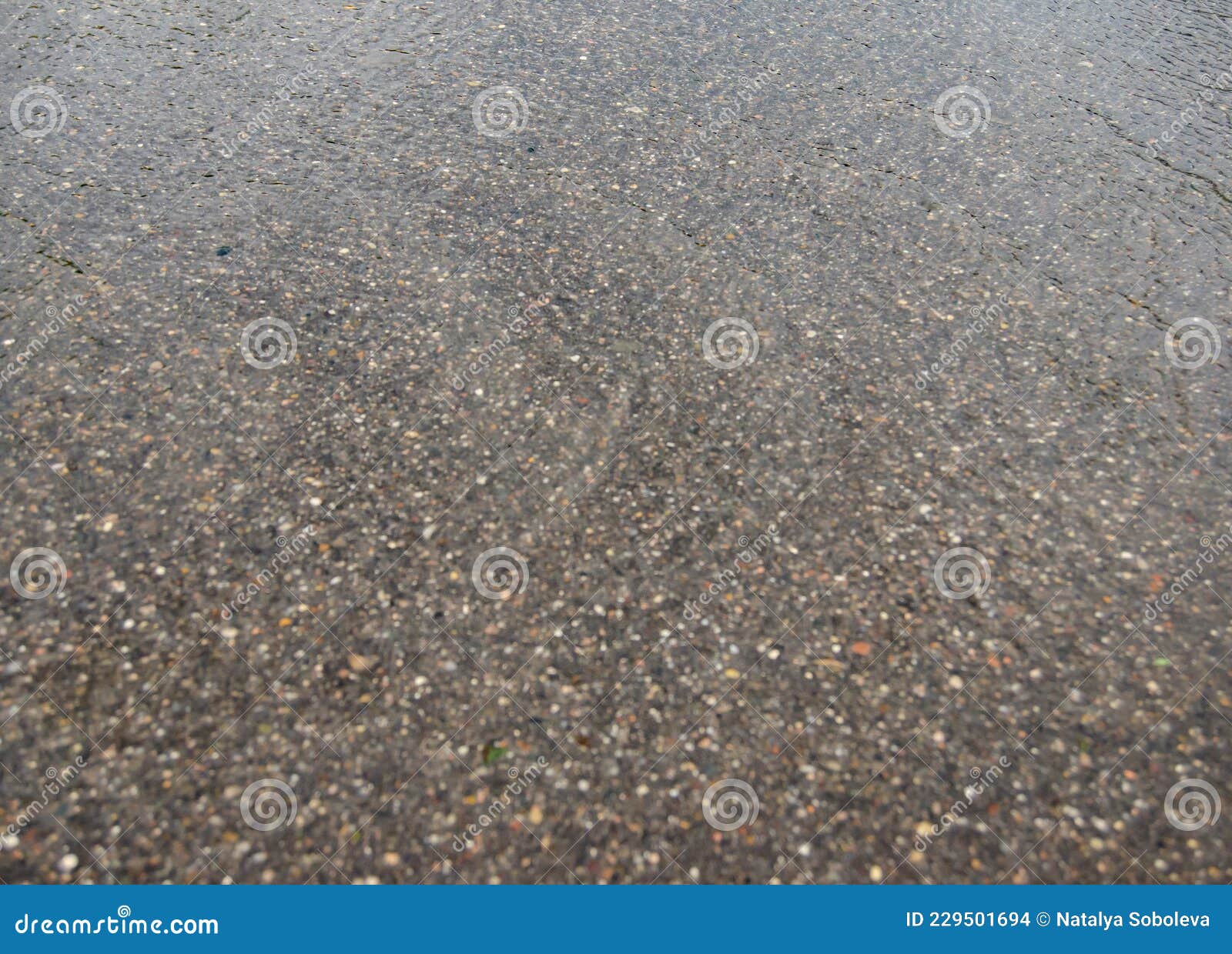 Wet granite, background stock photo. Image of rock, closeup - 229501694