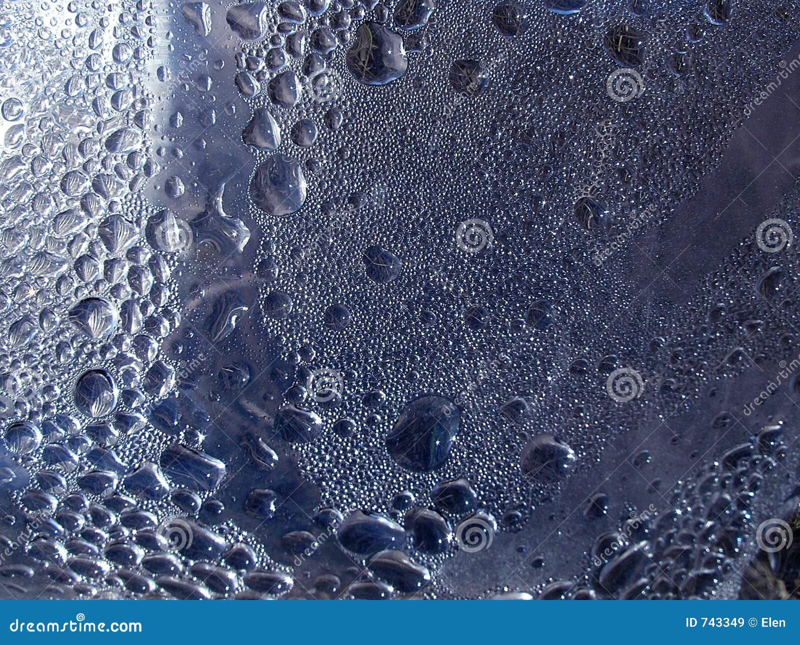 Wet gray surface stock image. Image of bladderl, blowhole - 743349