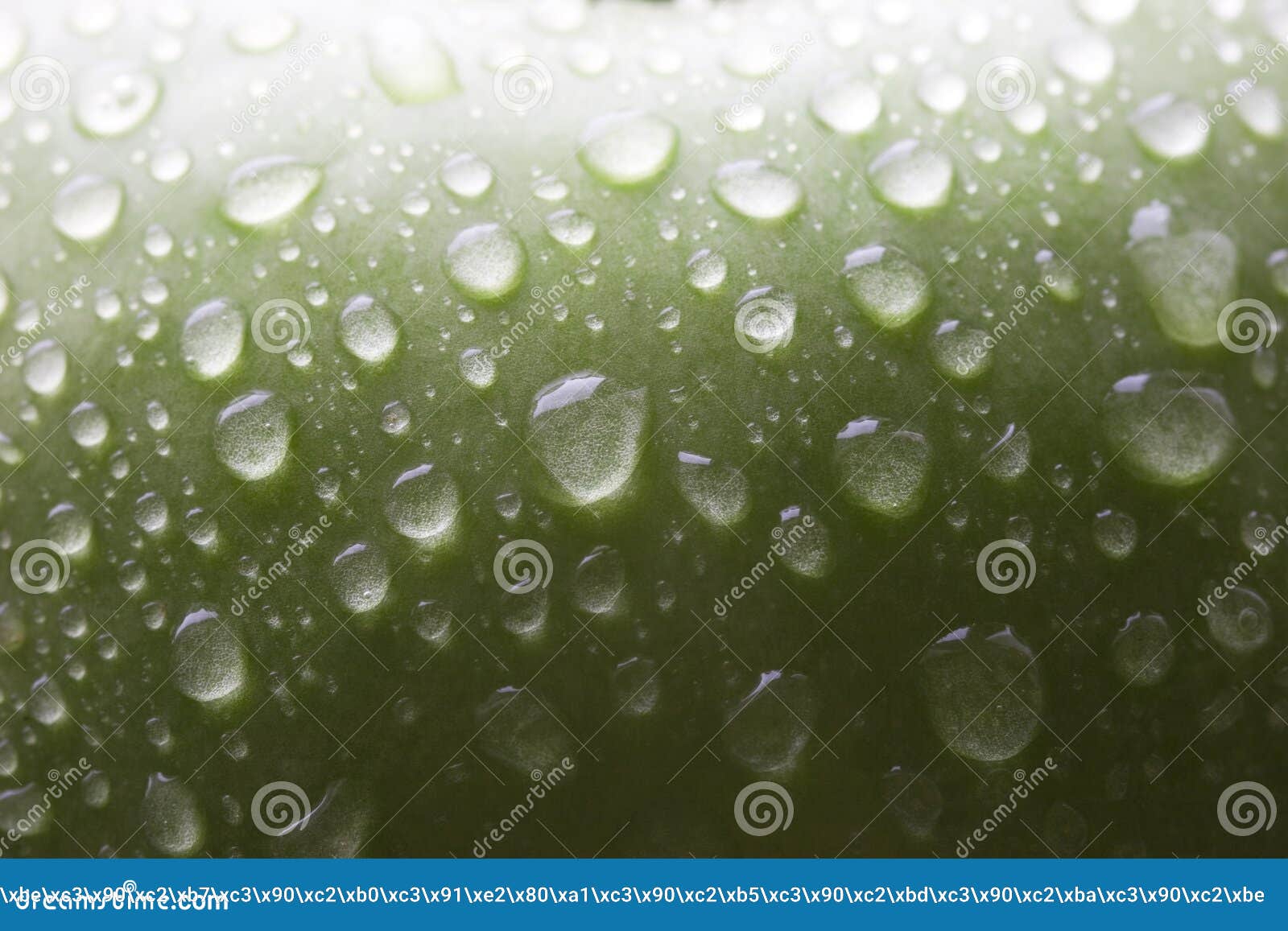 Wet green apple stock photo. Image of gourmet, organic - 2161364