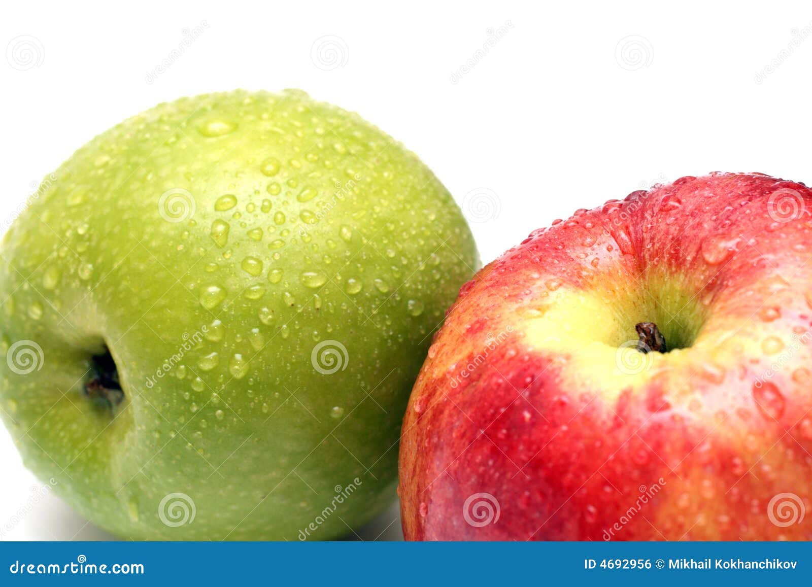 Apple Fruits Infected By Fungal Disease Monilia Fructigena Or Brown ...