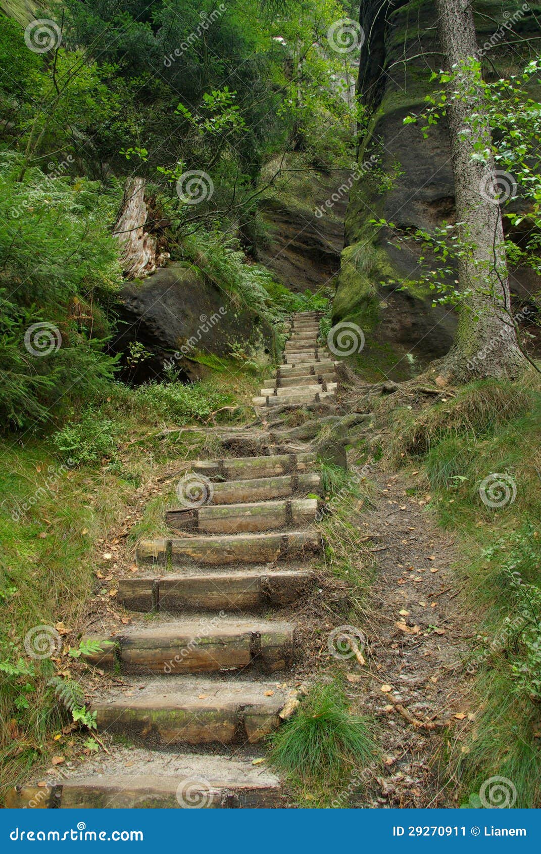 Wet ground way stock image. Image of vintage, stair, green - 29270911