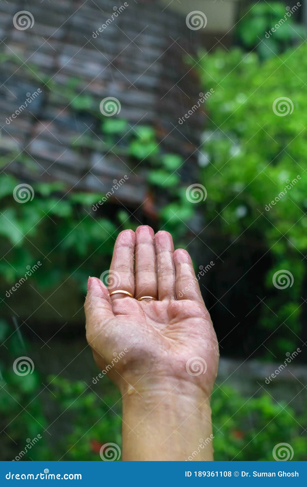 Wet Human Hand with Rain Drops Falling on it Stock Photo - Image of ...
