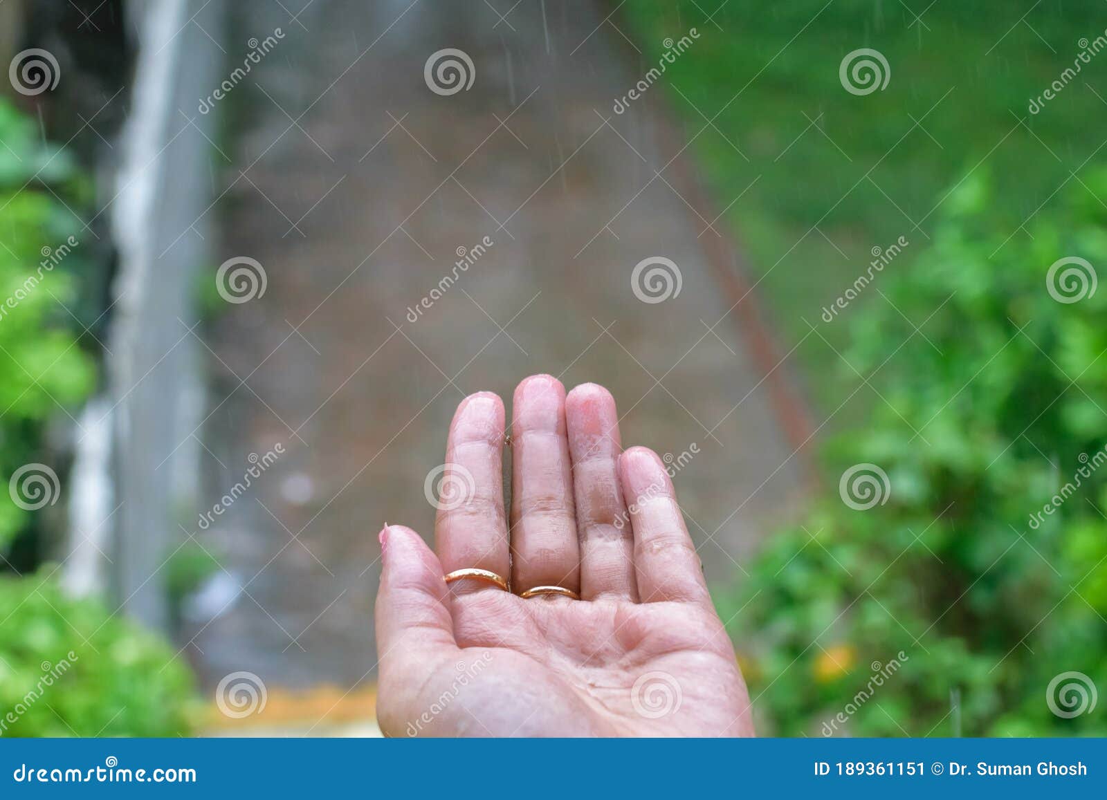 Wet Human Hand with Rain Drops Falling on it Stock Image - Image of ...