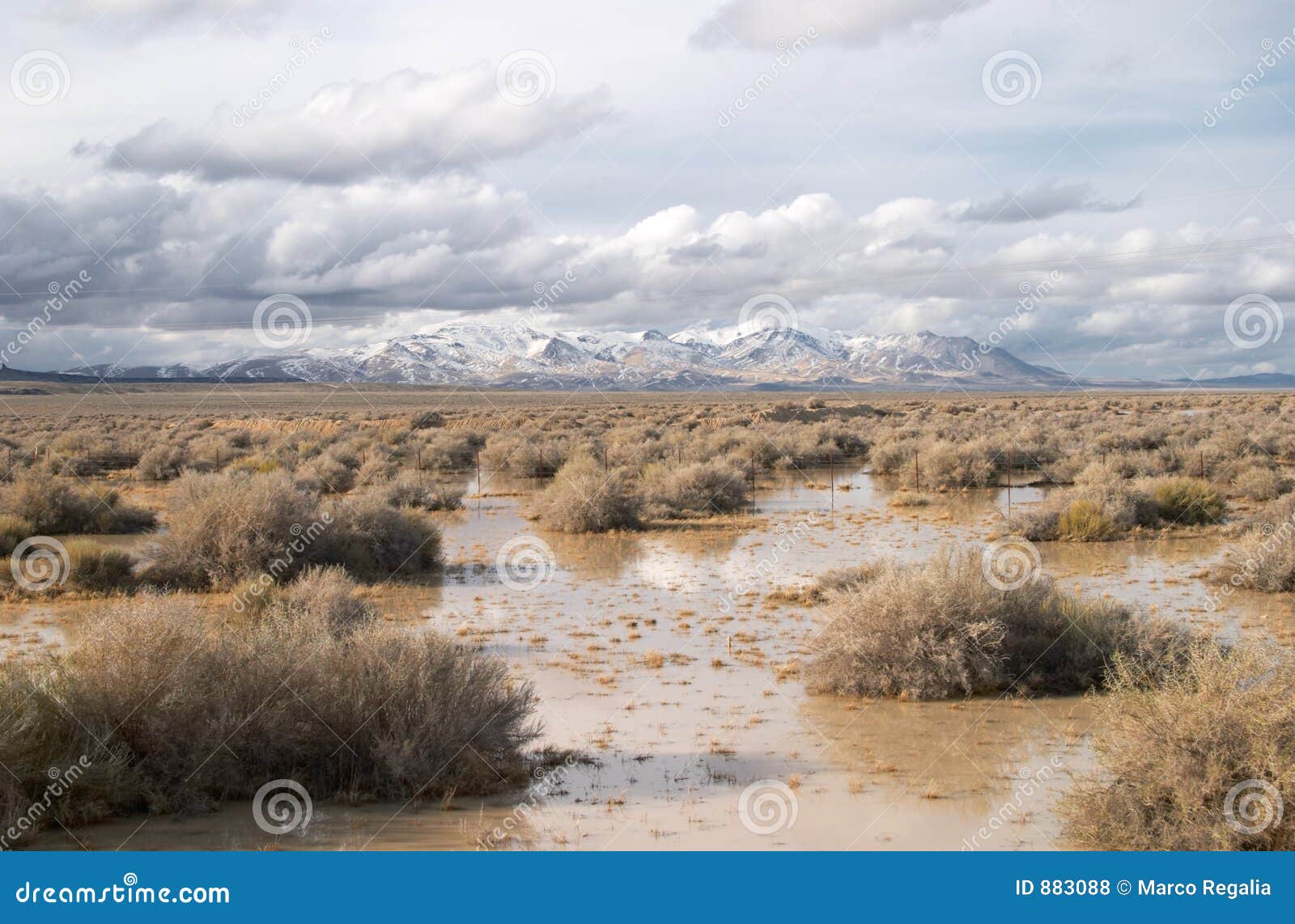 Wet land in Nevada stock photo. Image of wide, marsh, nevada - 883088