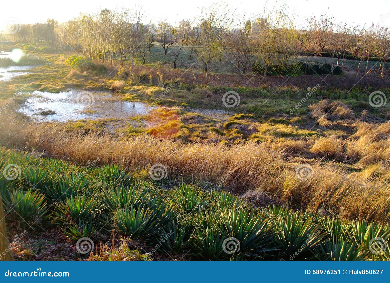 Wet land in sunset stock image. Image of cloud, green - 68976251