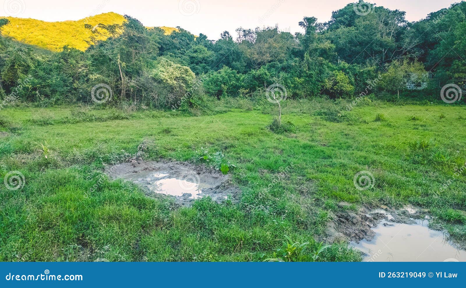The Wet Land or Waste Land at Hong Kong Editorial Stock Image - Image ...