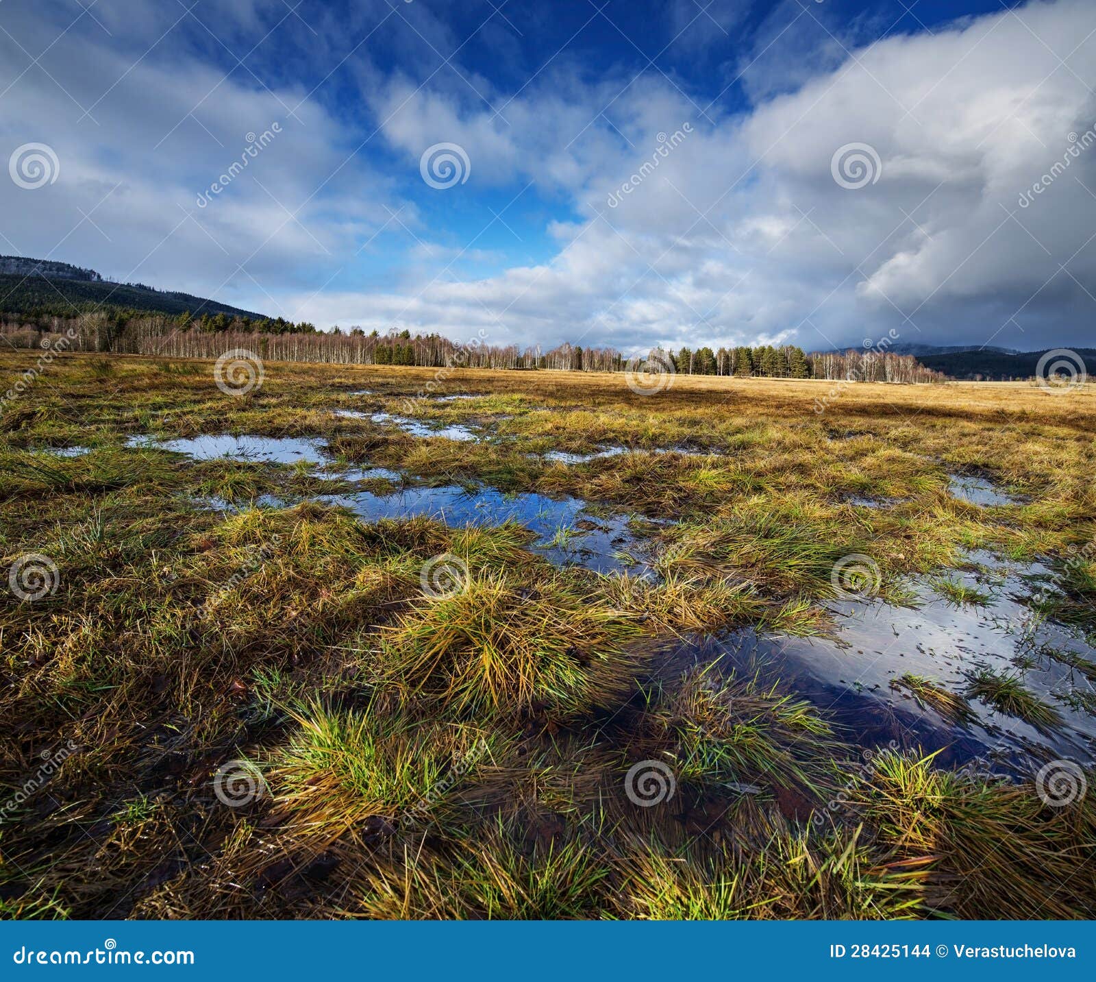 Wet landscape stock photo. Image of moor, mountain, bright - 28425144