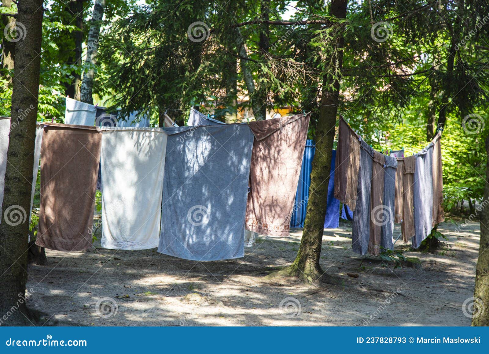 Wet Laundry Hanging on Strings, Washed Towels Hanging in the Forest ...