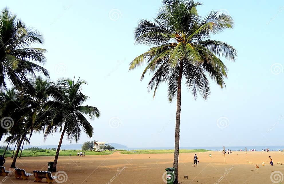 Miramar beach, Goa editorial photo. Image of india, beautiful - 47612031