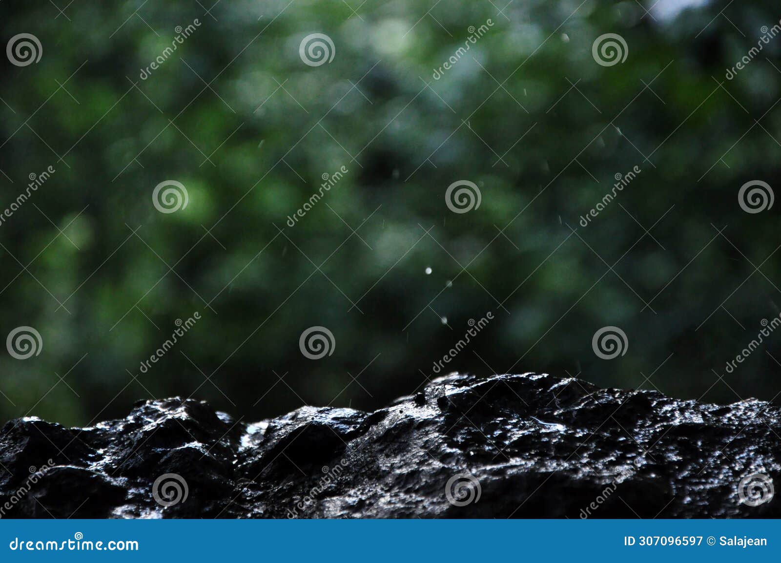 Wet Limestone Rock and Blurry Forest Background in a Rainy Day Stock ...
