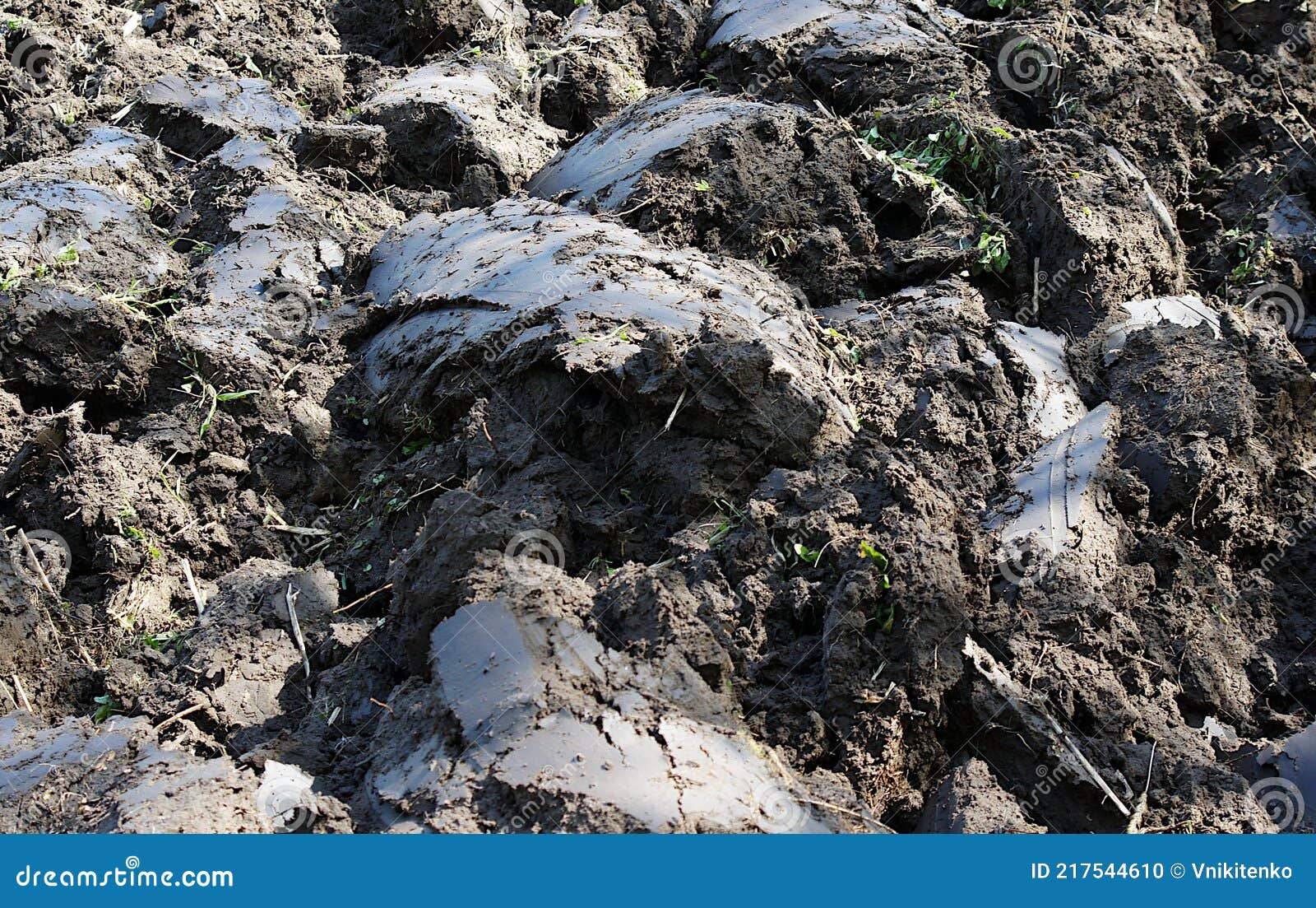 Wet lumps of soil stock photo. Image of background, surface - 217544610