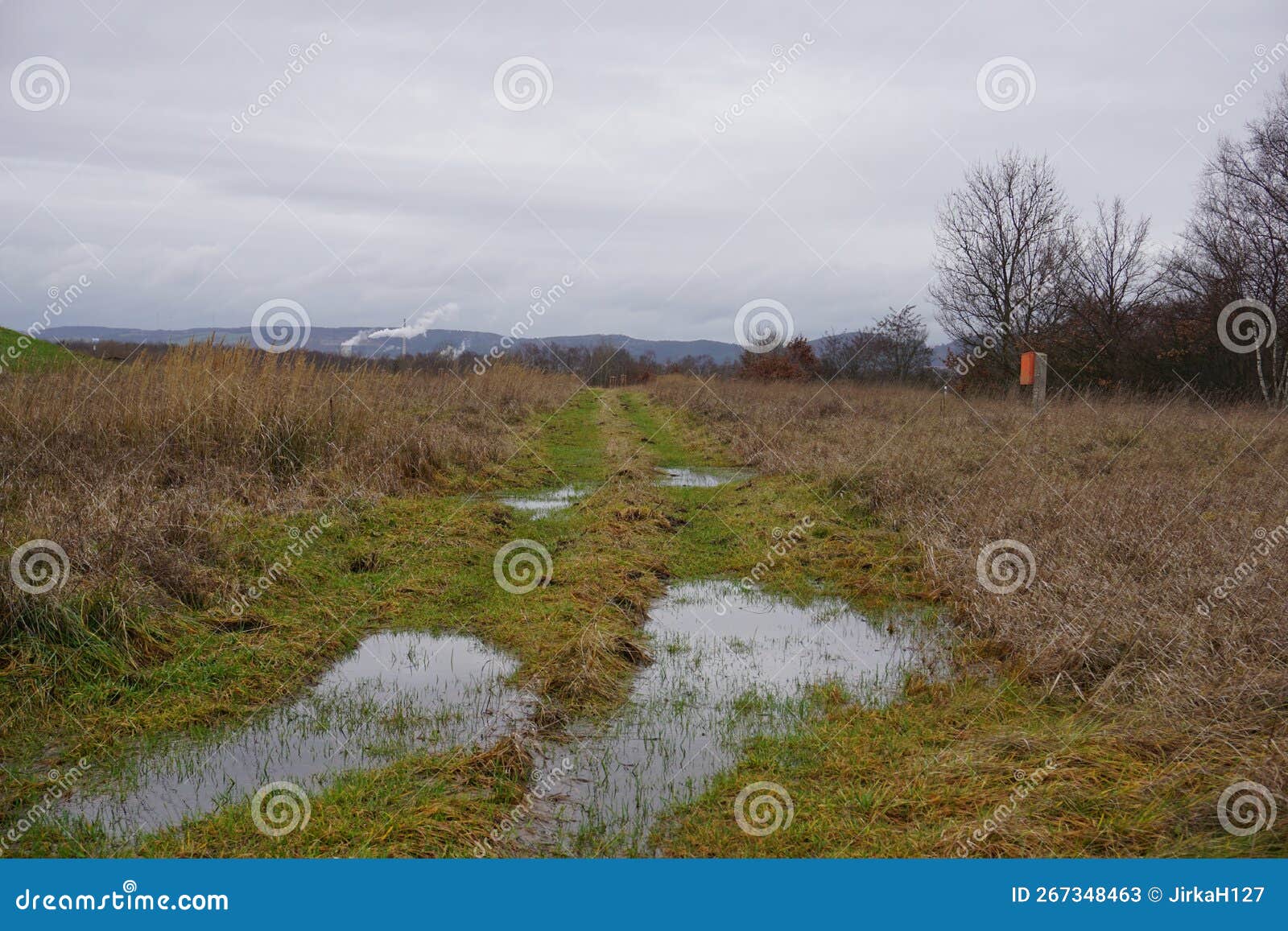 Wet meadow path in Czechia stock image. Image of river - 267348463