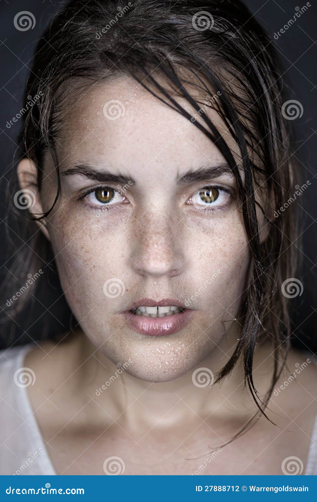 Wet model face stock photo. Image of collection, normal - 27888712