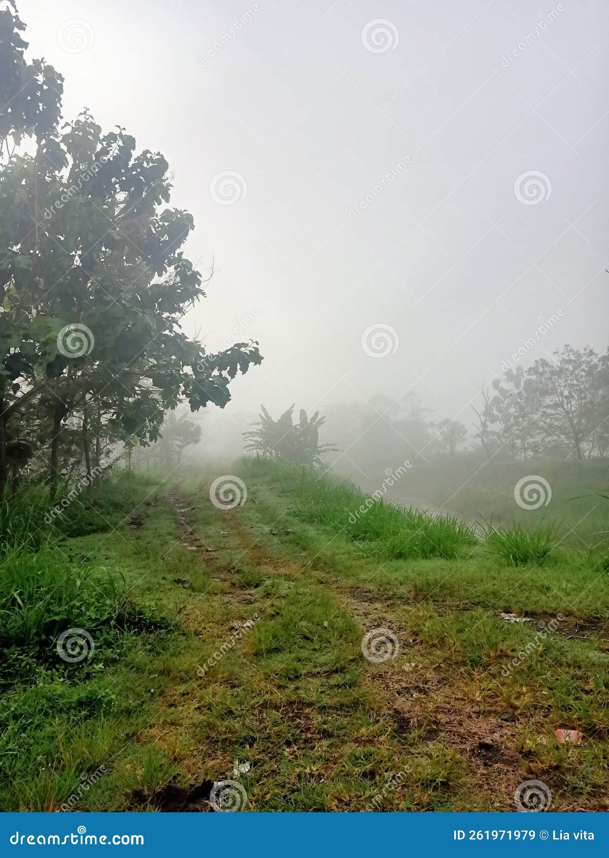 Wet morning, so cold. stock image. Image of morning - 261971979