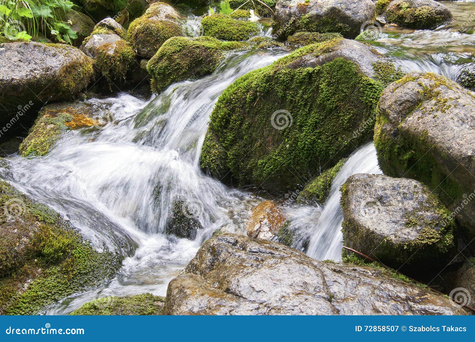 2,206 Wet Mossy Rocks Creek Photos - Free & Royalty-Free Stock Photos ...