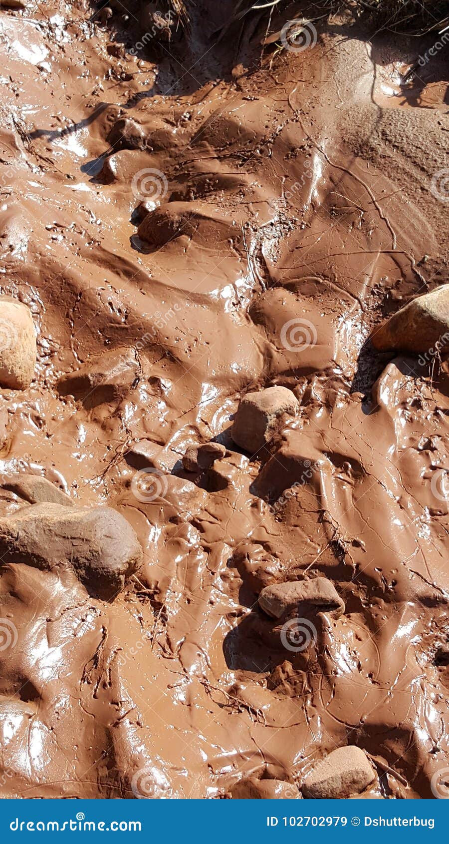 A wet mud stock image. Image of sticky, clay, brown - 102702979