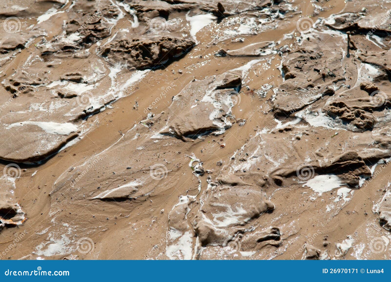 Wet mud stock image. Image of brown, water, textured - 26970171