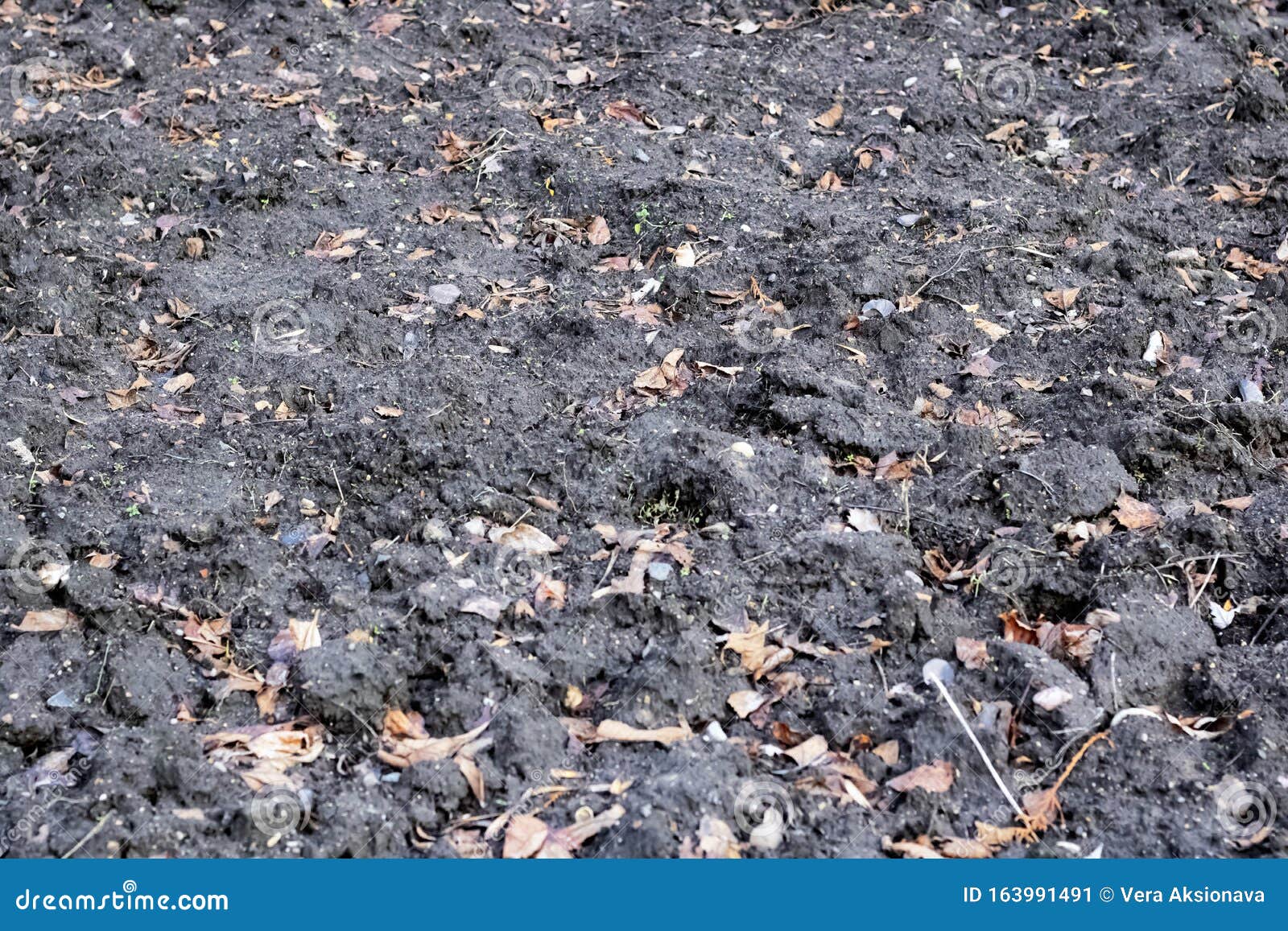 Wet Mud on a Path with Yellow Leaves Stock Image - Image of puddle ...