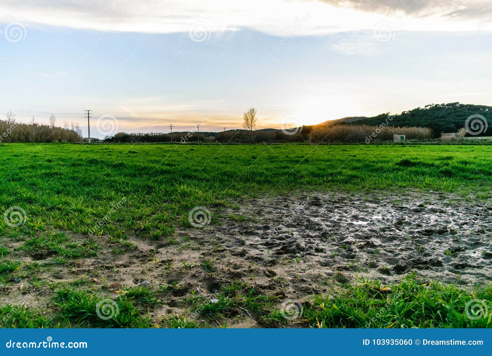 Wet Mud Puddle in Field and Sunset Stock Photo - Image of rural, meadow ...