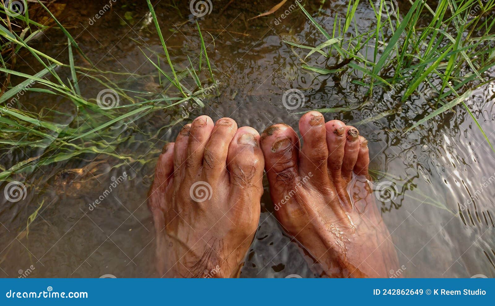The Soles of the Feet in River Water Stock Image - Image of dirty, farm ...