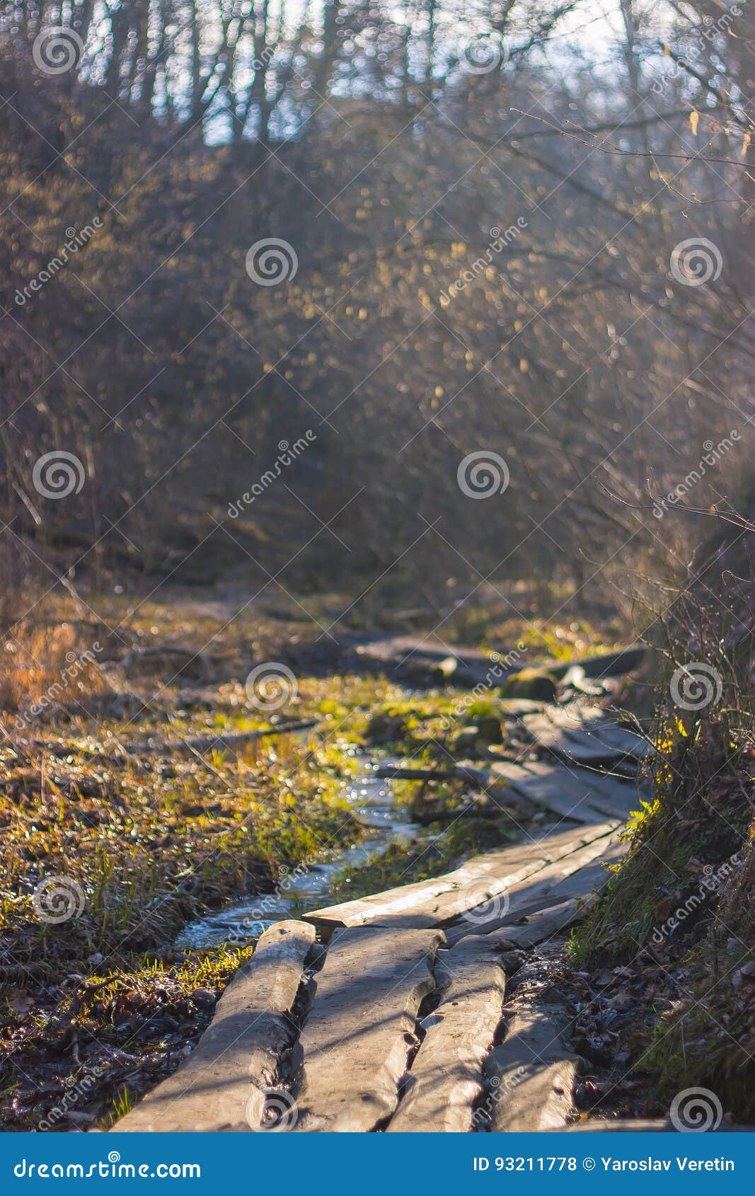 Wet muddy country pathway stock photo. Image of dirty - 93211778