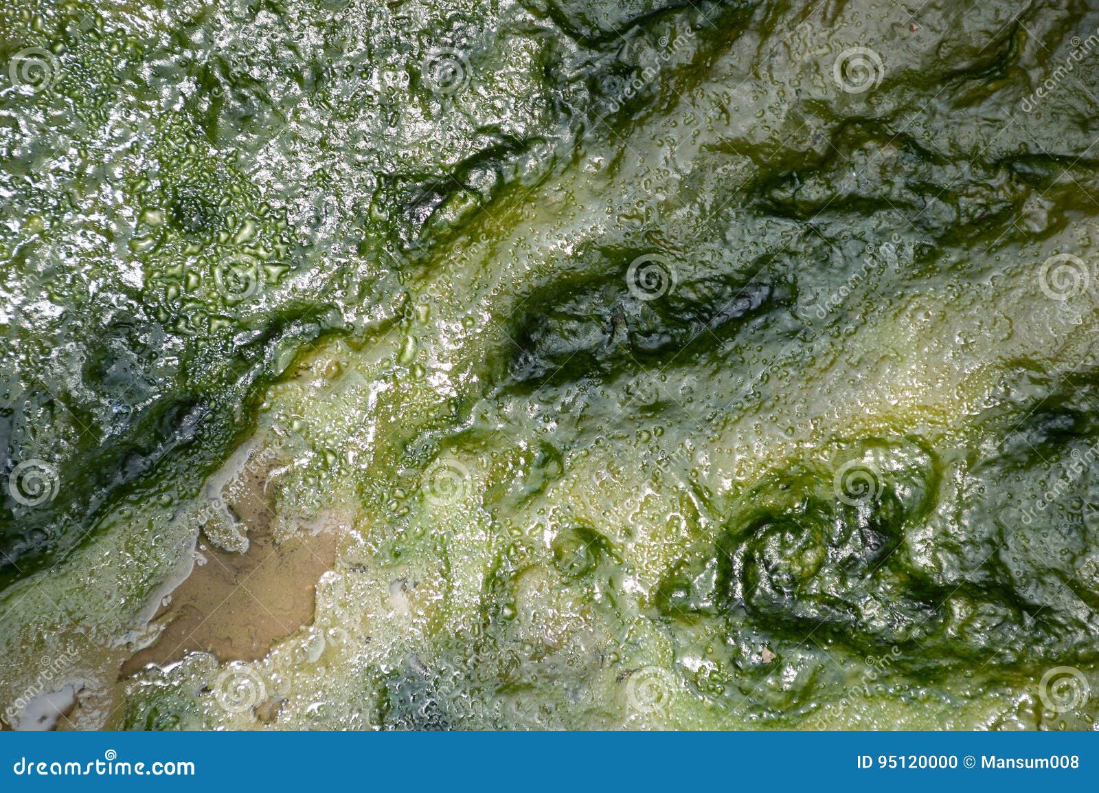 Wet muddy texture stock photo. Image of texture, abstract - 95120000