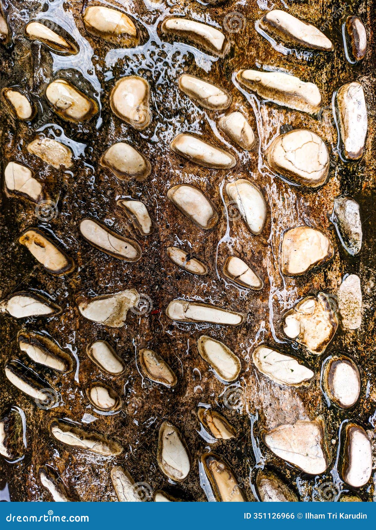 Wet Natural Stone Pattern with Reflective Surface Stock Photo - Image ...