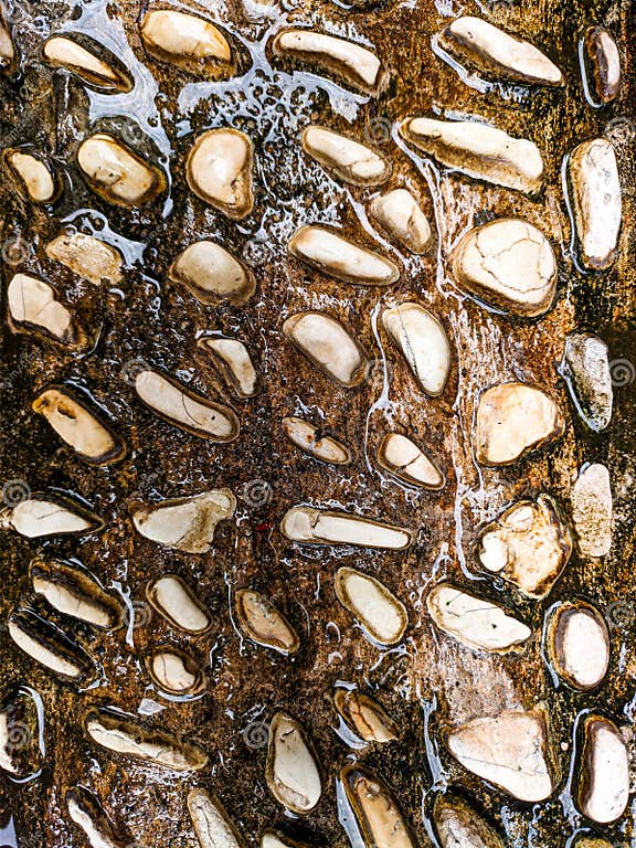 Wet Natural Stone Pattern with Reflective Surface Stock Photo - Image ...