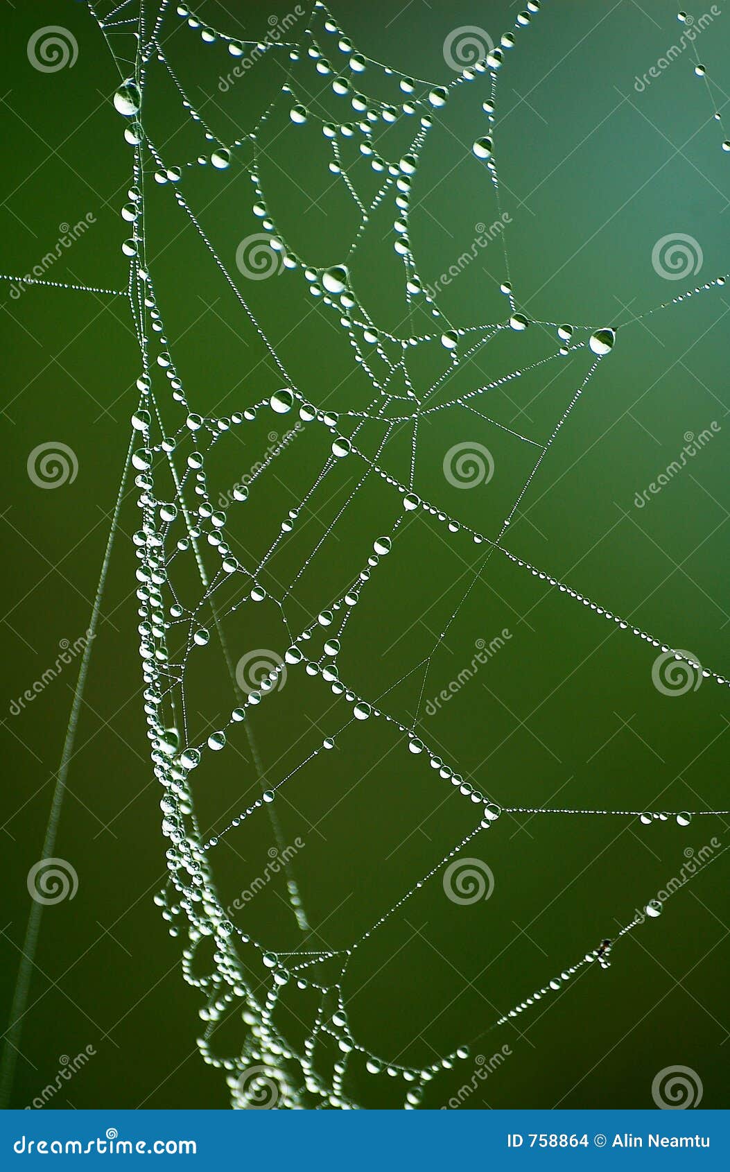 Wet Net 1 stock photo. Image of backdrop, crystal, black - 758864