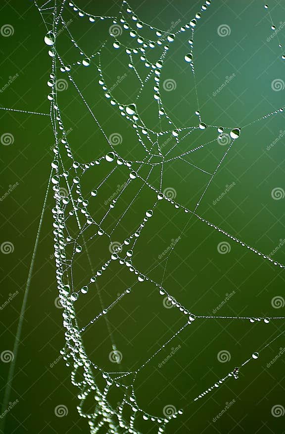 Wet Net 1 stock photo. Image of backdrop, crystal, black - 758864
